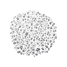 ゼスティ ボディスプレー | LUSH